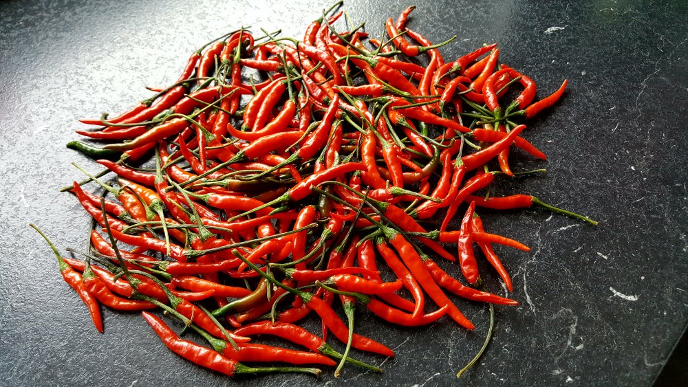 Rawit | Chiliforum - Chili-Pepper.de